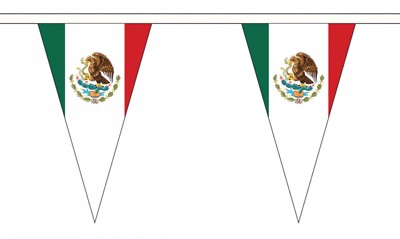 MEXICO TRIANGULAR BUNTING 5 metres 12 flags Polyester flag MEXICAN ...