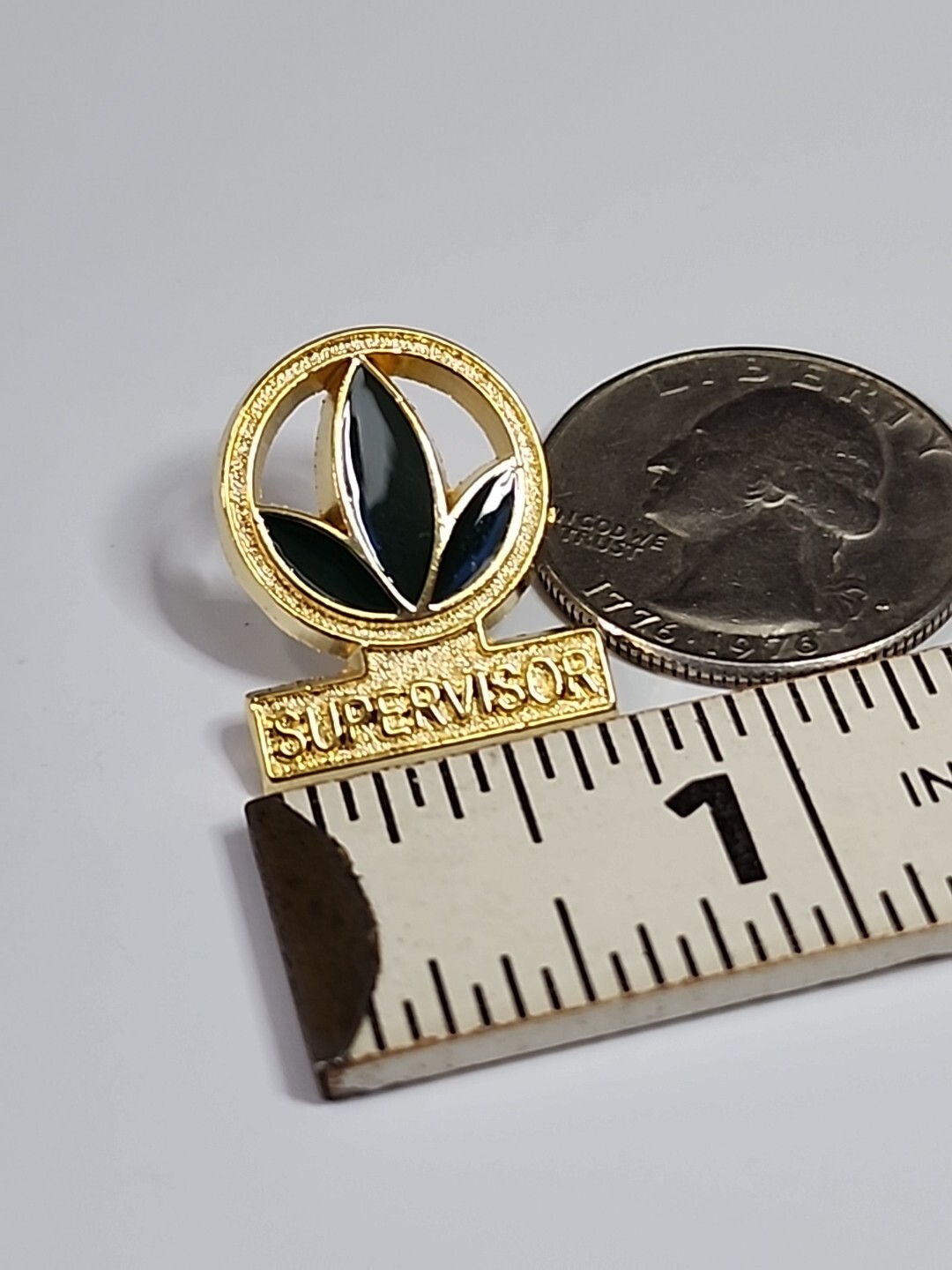 Herbalife Supervisor Lapel Pin * | eBay