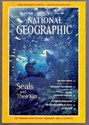 National Geographic Vol 171 No 4 April 1987 Seals and Their Kin and ...