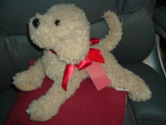 Travis Golden Dog (Medium size) by Douglas | eBay