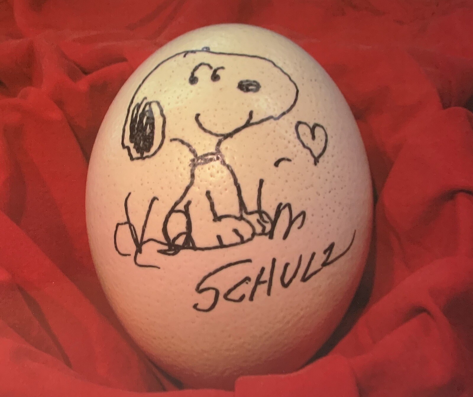 CHARLES SCHULZ Hand Signed Autographed Ostrich Egg - SNOOPY - PEANUTS ...