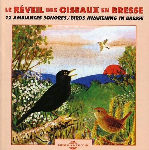 SOUNDS OF NATURE - BIRDS AWAKENING IN BRESSE (W/BOOK) NEW CD | eBay