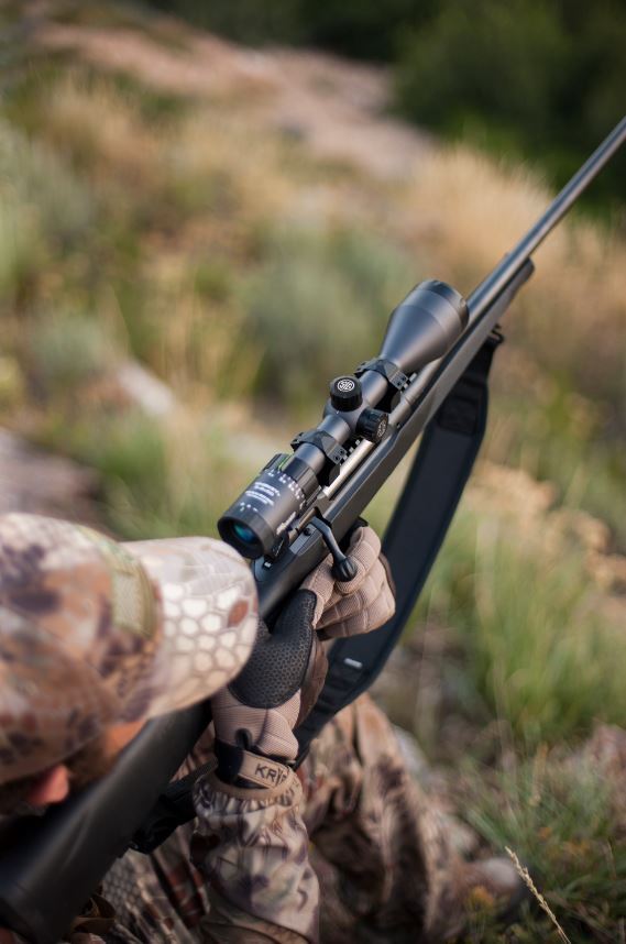 SIG SAUER Alpha Hunting Rifle Scope Rings, 1in, Low, Black SOA10006 | eBay