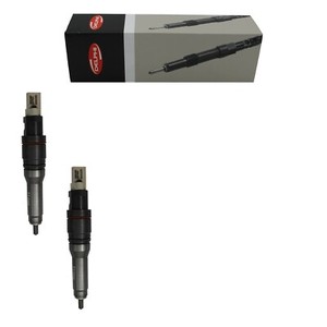 New Delphi Diesel Injector BEBJ1D04001 x 2 | eBay