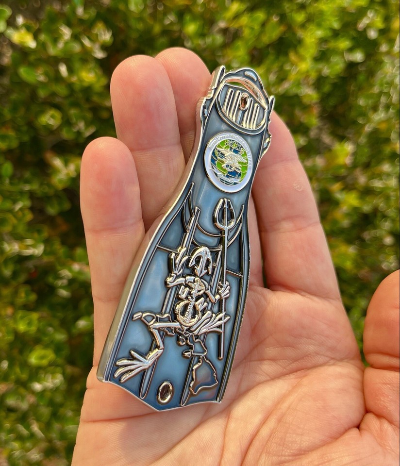 Navy Seals Seal Team NSW GROUP 3 Diver Flipper Fin Bone Frog Challenge ...