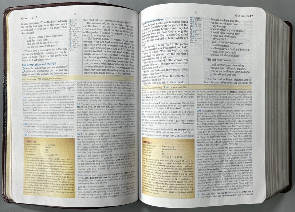 HCSB Study Bible Mahogany Duotone Simulated Leather Clean Text G+ USA ...