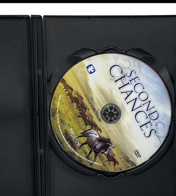 Second Chances (DVD, 2009) Family, Drama, Tom Amandes, Kelsey Mulrooney ...