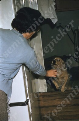 SL55 Original Slide 1950's Red Kodachrome San Mateo lady w/ dog 073a | eBay
