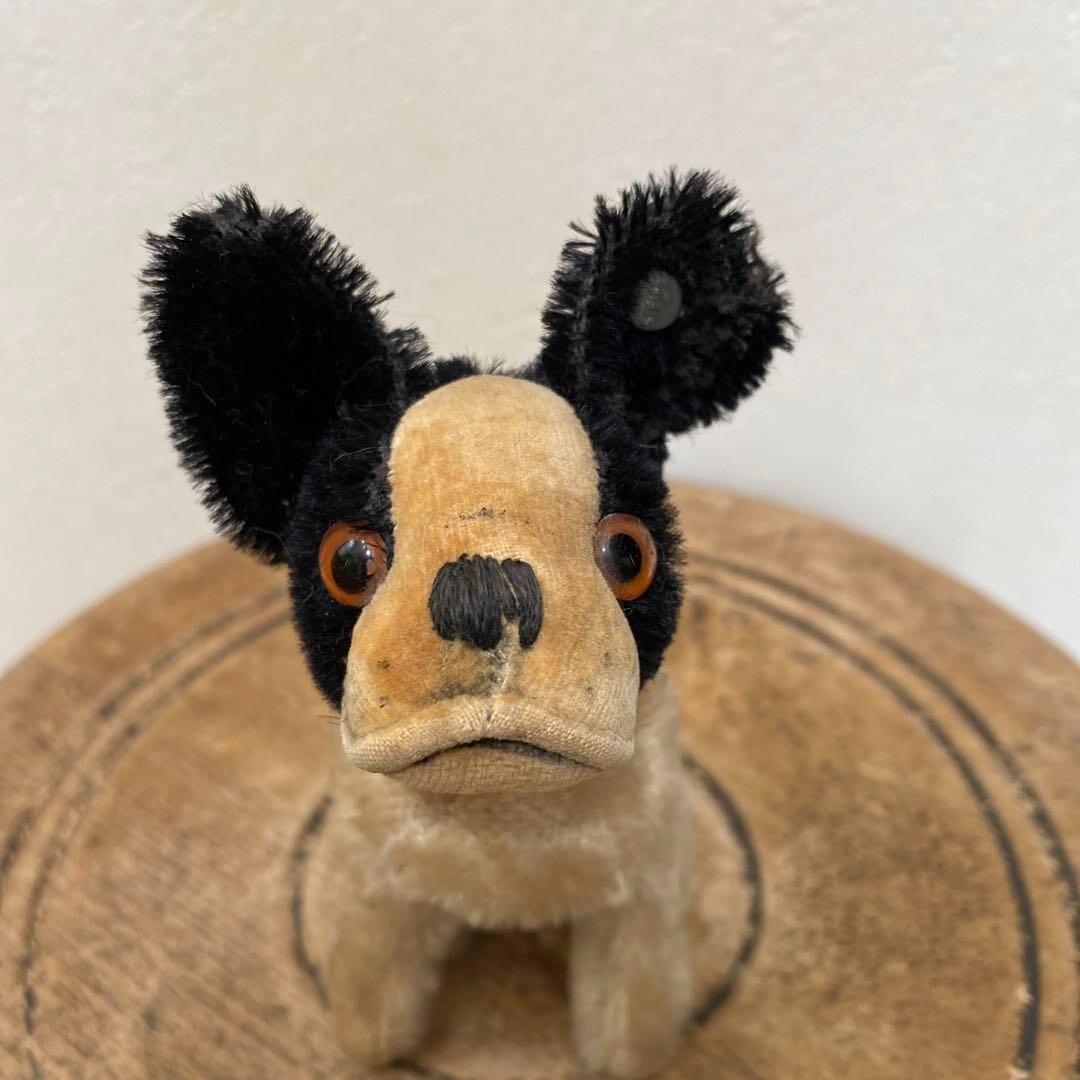Steiff Bully Antique 1927 22cm Used | eBay Steiff Bully Antique 1927 22cm Used | eBay