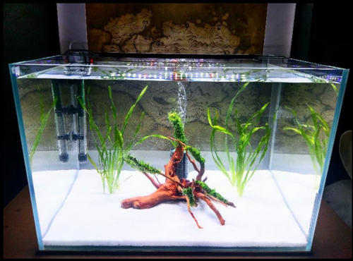 Aquarium Professional Fish Tank - 90L (60x40x40cm) Clear Glass ...