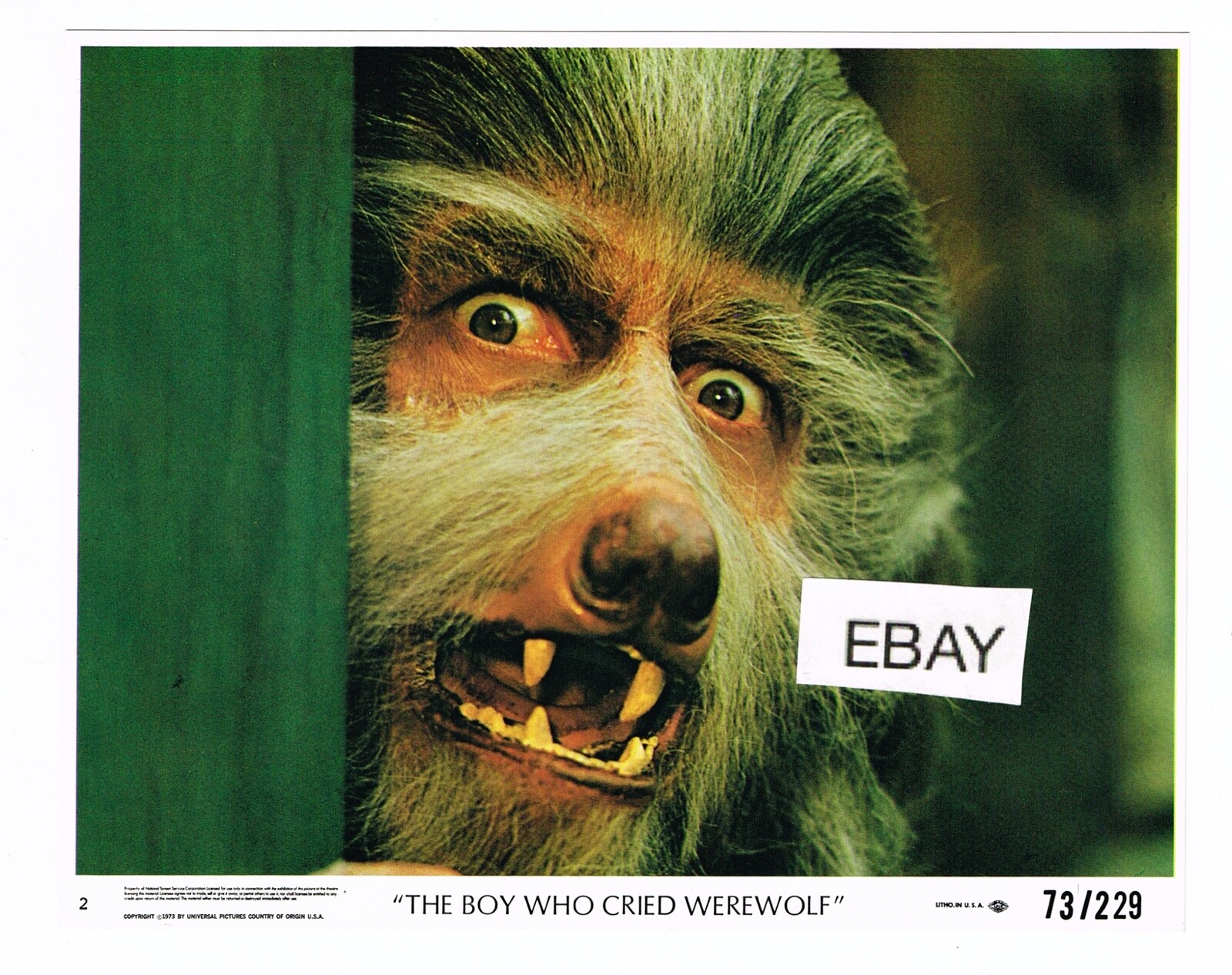 The Boy Who Cried Werewolf 1973