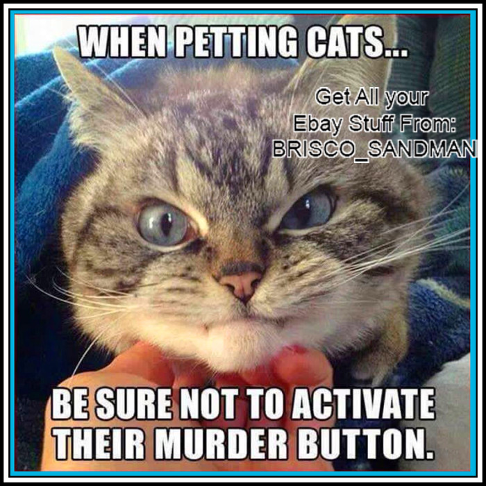 Memes With Murderer Murder Drones Meme Murder Drones Discover