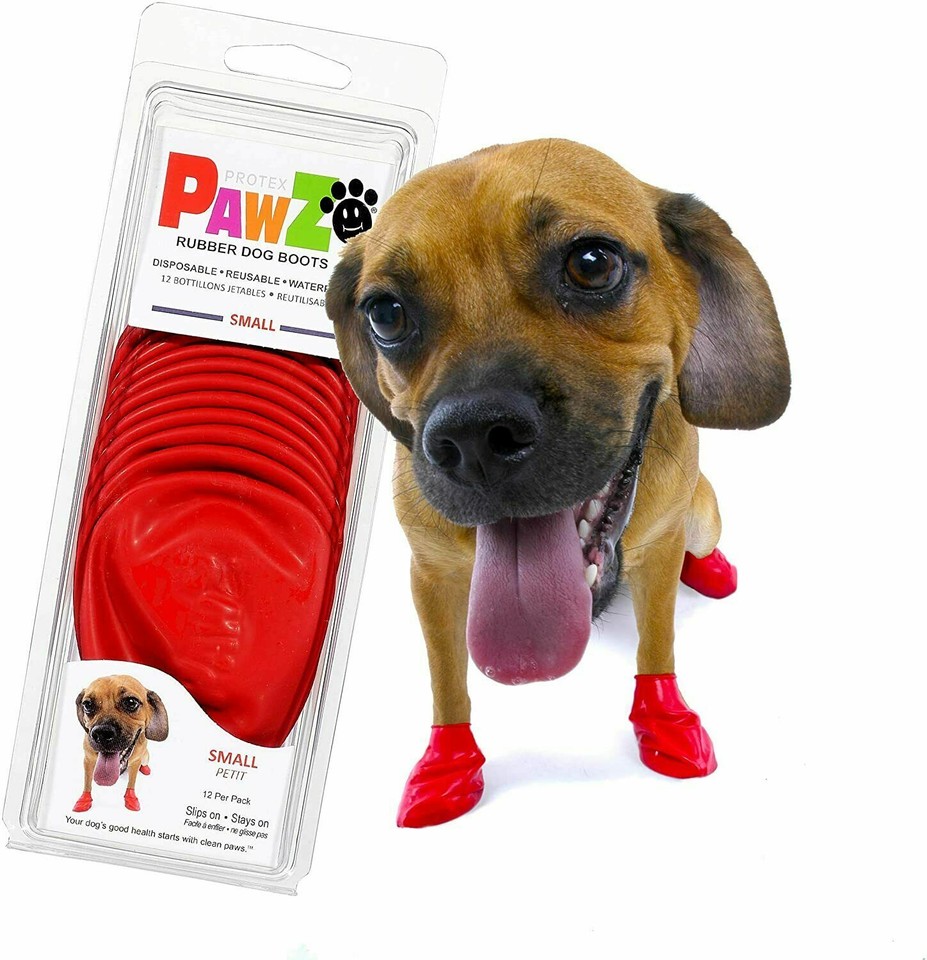 Pack of 12 Pawz Disposable Reusable Dog Boots Wound Recovery All ...