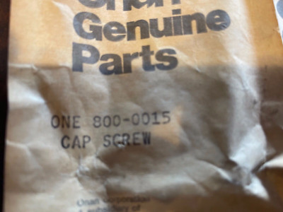 Onan Marine Generator Cap Screws (800-0015) (1 lot= 3 Screws) (Onan#6 ...