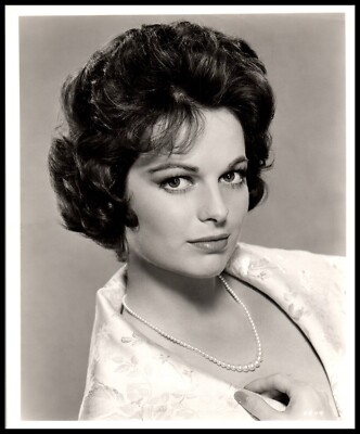 Hollywood Beauty JOYCE TAYLOR STYLISH POSE 1960s STUNNING PORTRAIT ...