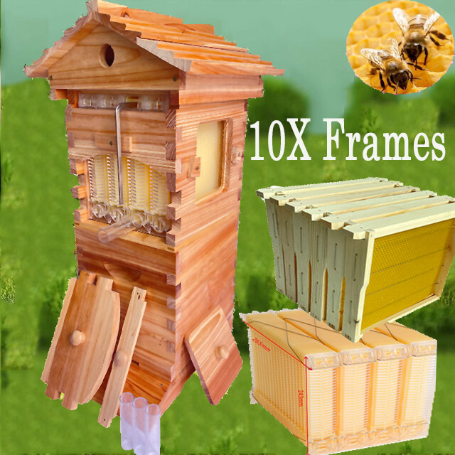 MINi 10X Frames Bee Hive Beehive Auto Box Comb Brood Comb Beekeeping ...