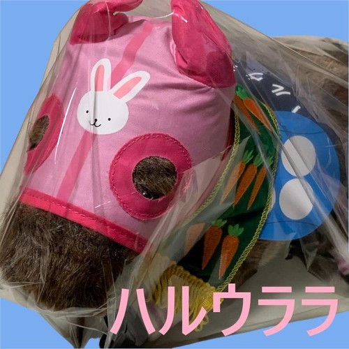 Plush Toy Avanti Haru Urara Uma Musume Idol Horse 113 Races Iconic ...
