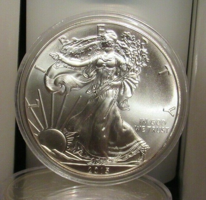 2015 AMERICAN SILVER EAGLE IN PROTECTIVE CRYSTAL DISPLAY CASE | eBay