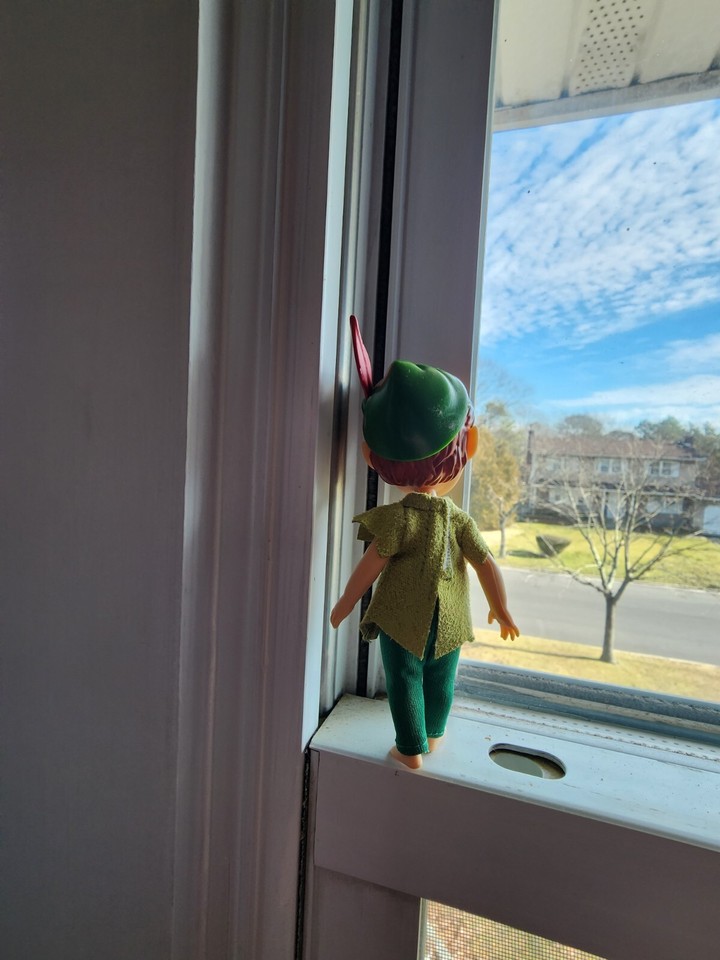 Disneys Peter Pan Animators Collection Doll | eBay