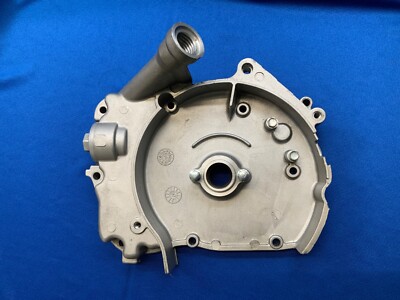 Genuine OEM DINLI 150cc E020039 Crankcase Cover Right side GY6 | eBay