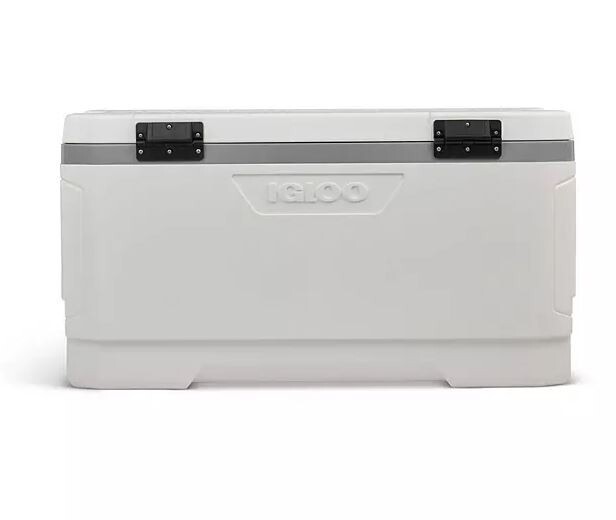 Igloo 150 Quart MaxCold Cooler | eBay