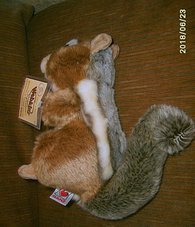 Webkinz Signature Chipmunk WKSS2009, NWT, Mint Condition OOP | eBay