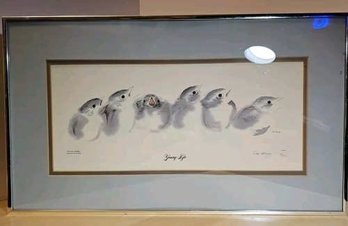 Dan Mowrey Young Life Print Numbered And Signed | eBay