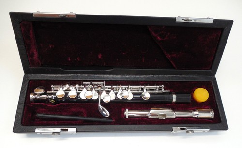 Eastman Piccolo. Composite Body, Silver Plated Head and Keys | eBay