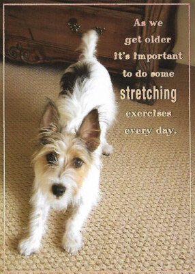 Humorous Stretching Dog Birthday Card ~ Do Some Stretching Exercises ...