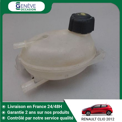 🇫🇷 VASE EXPANSION RENAULT CLIO ♻️ 217104354R | eBay