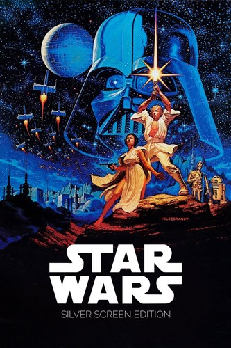 1977 Star Wars Episode IV A New Hope Movie Poster 11X17 Darth Vader ...