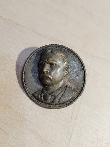 Rare Antique Button, 3D Theodore Roosevelt Campaign Button | eBay