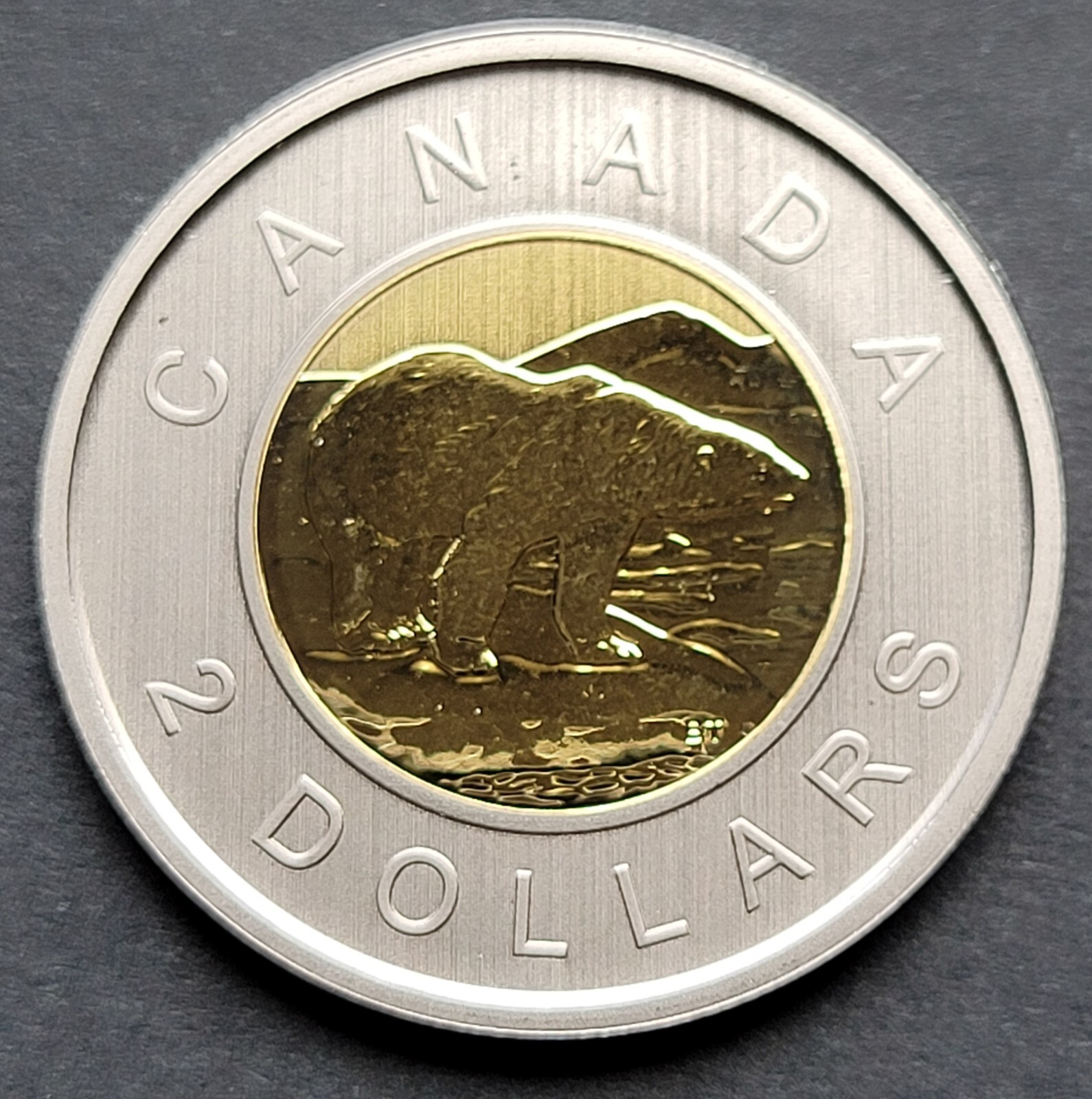 CANADA TOONIE 2021 *** SPECIMEN *** | eBay