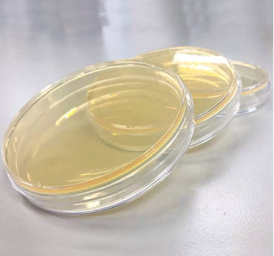 Pre-cast LB Agar Culture Plate, 10 pcs/pack | eBay