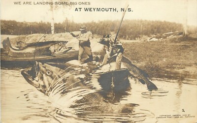 c1930 RPPC Fishing Exaggeration, Landing Big ones at Weymouth NS Canada ...
