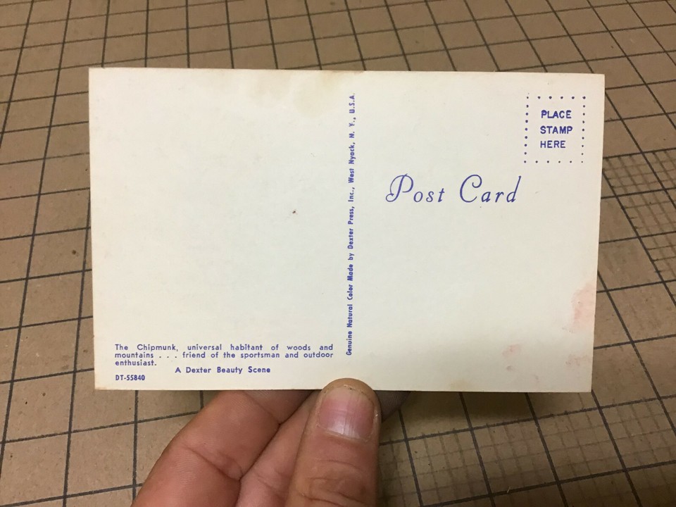 Unused pc - THE CHIPMUNK dexter beauty sceen | eBay