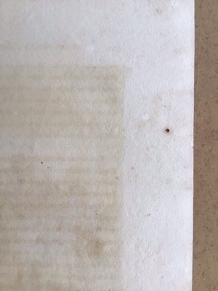 Antique Aquatint Print India Art Mahant Gosaens Sadhu Horse Hindu ...