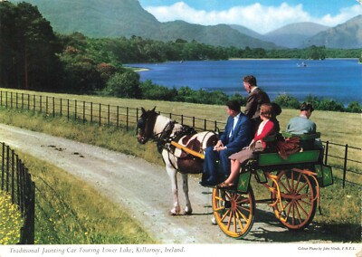Postcard Ireland Lower Lake Kilarney Traditional Jaunting Car Horse ...