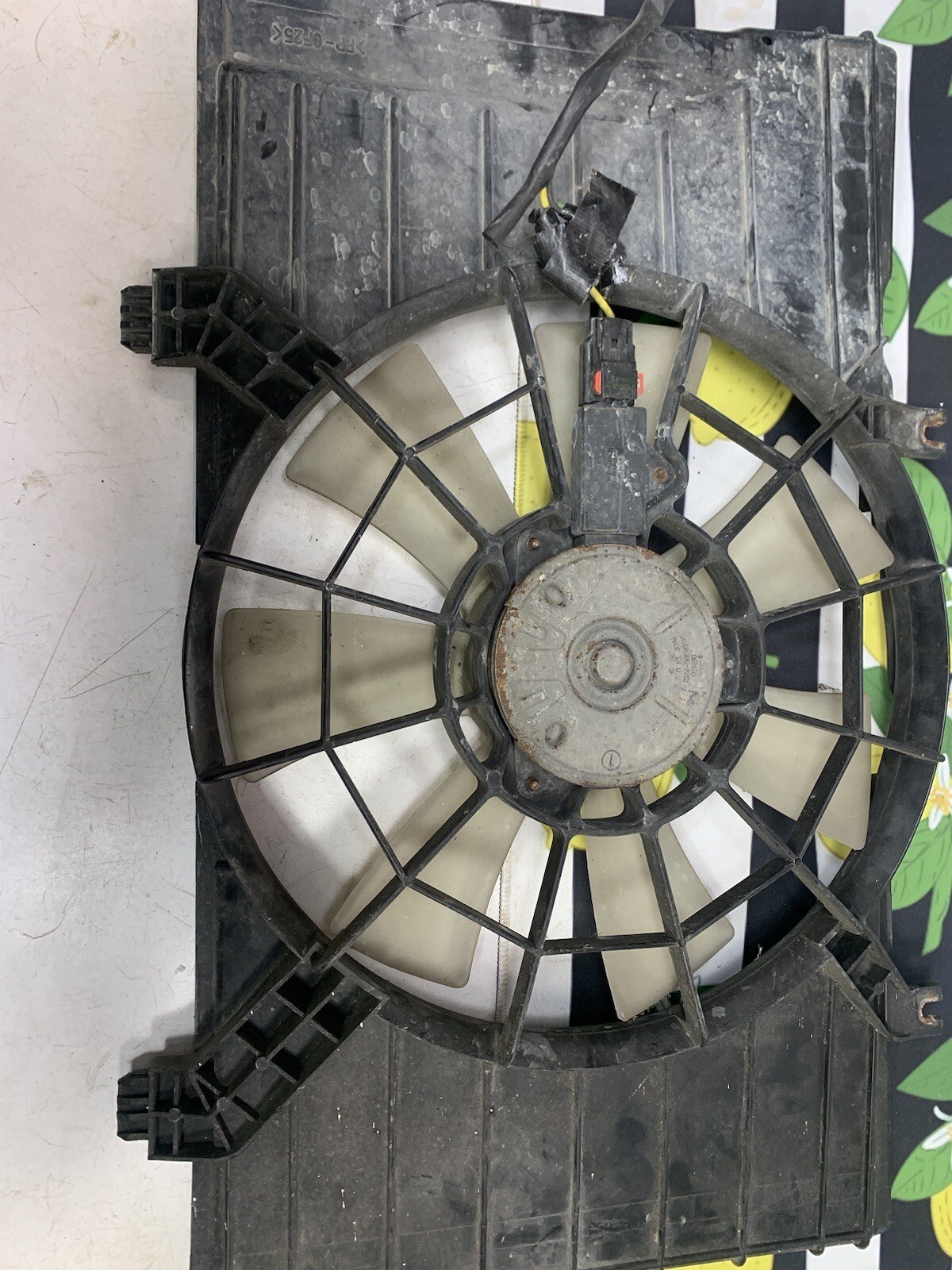 Radiator Cooling Fan motor & shroud PP-GF25 OEM | eBay