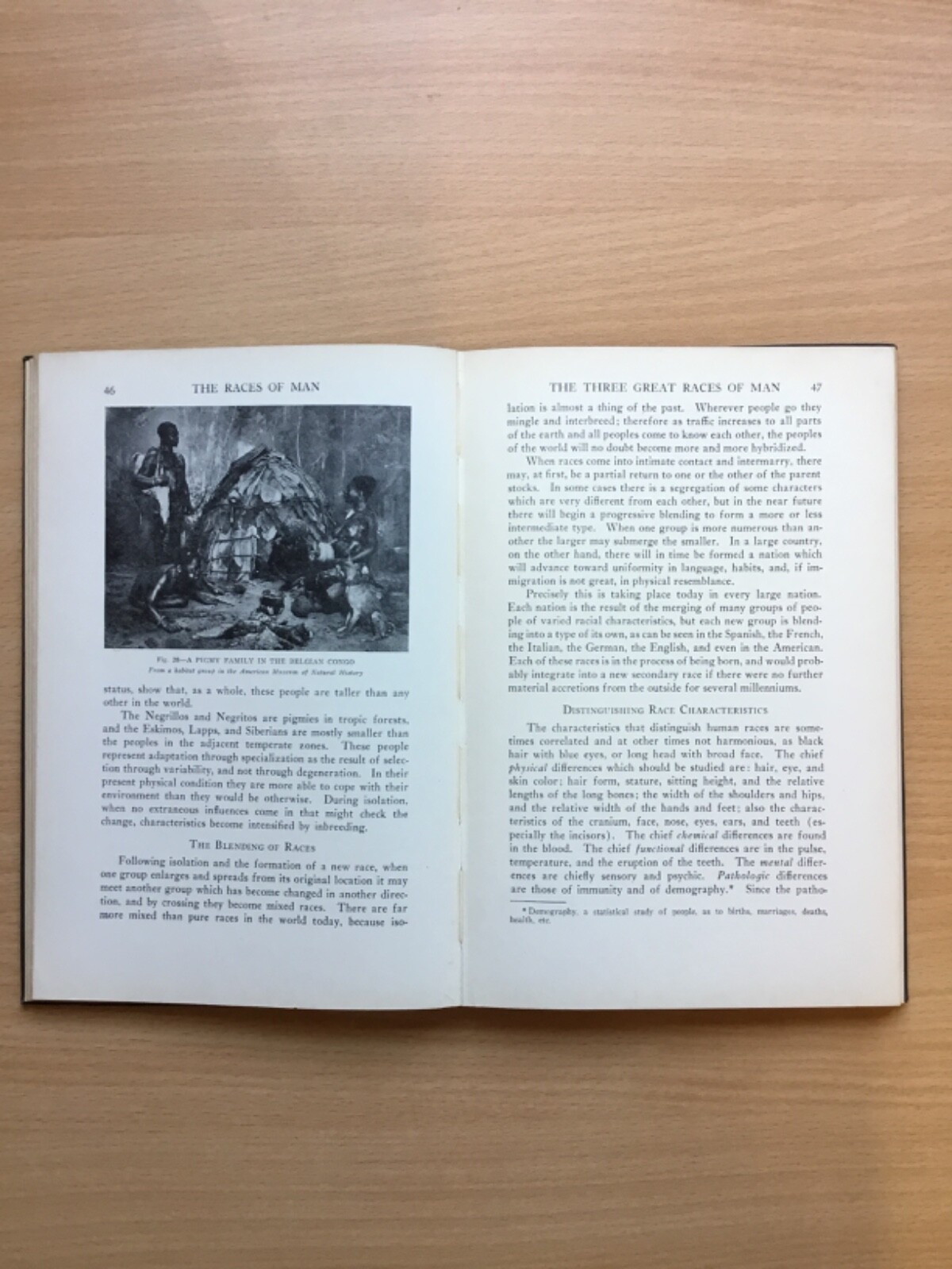 The Races of Man, Robert Bennett Bean, 1935 | eBay