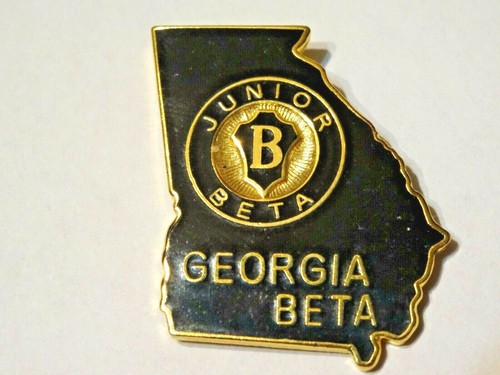 BETA ~ JUNIOR BETA / GEORGIA BETA ~ LAPEL PIN | eBay