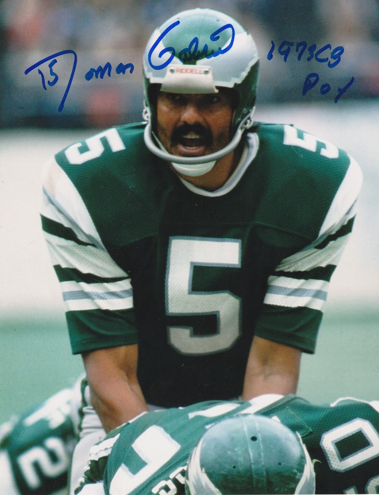 ROMAN GABRIEL PHILADELPHIA EAGLES 1973 CB POY ACTION SIGNED 8x10 | eBay