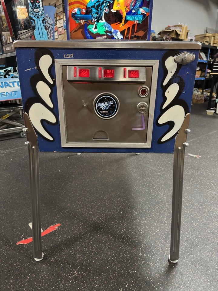 1980 GOTTLIEB PANTHERA PINBALL MACHINE PROFESSIONAL TECHS 8 DROP ...