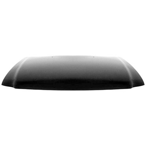 FO1230170 New Replacement Hood Panel Fits 1997-2002 Ford Expedition V ...