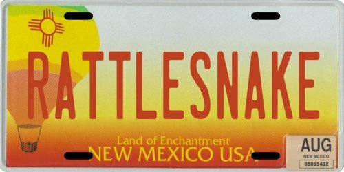 Rattlesnake New Mexico Land of Enchantment Hot Air Balloon License ...