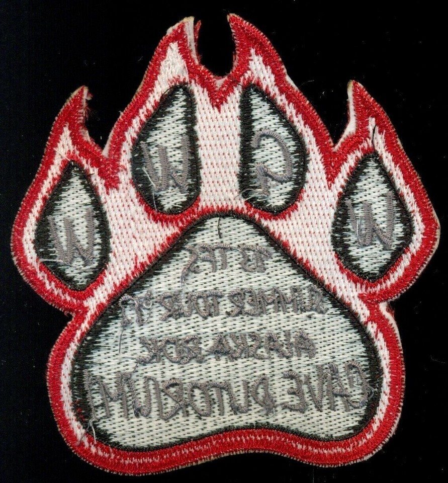 USAF 13th Tactical Fighter Squadron 1997 Alaska ROK Patch KP-6 | eBay