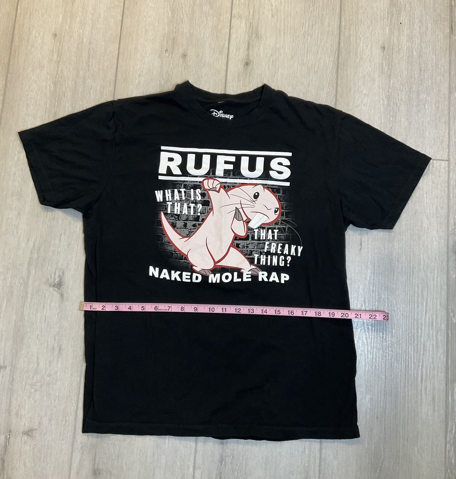 Kim Possible Disney Channel Ron Rufus Naked Mole Rap … - Gem