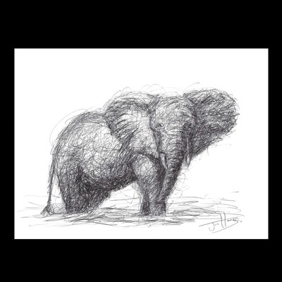 Elephant | Original Scribble Art Collectible Drawing by Jonathan Stephen Harris | eBay