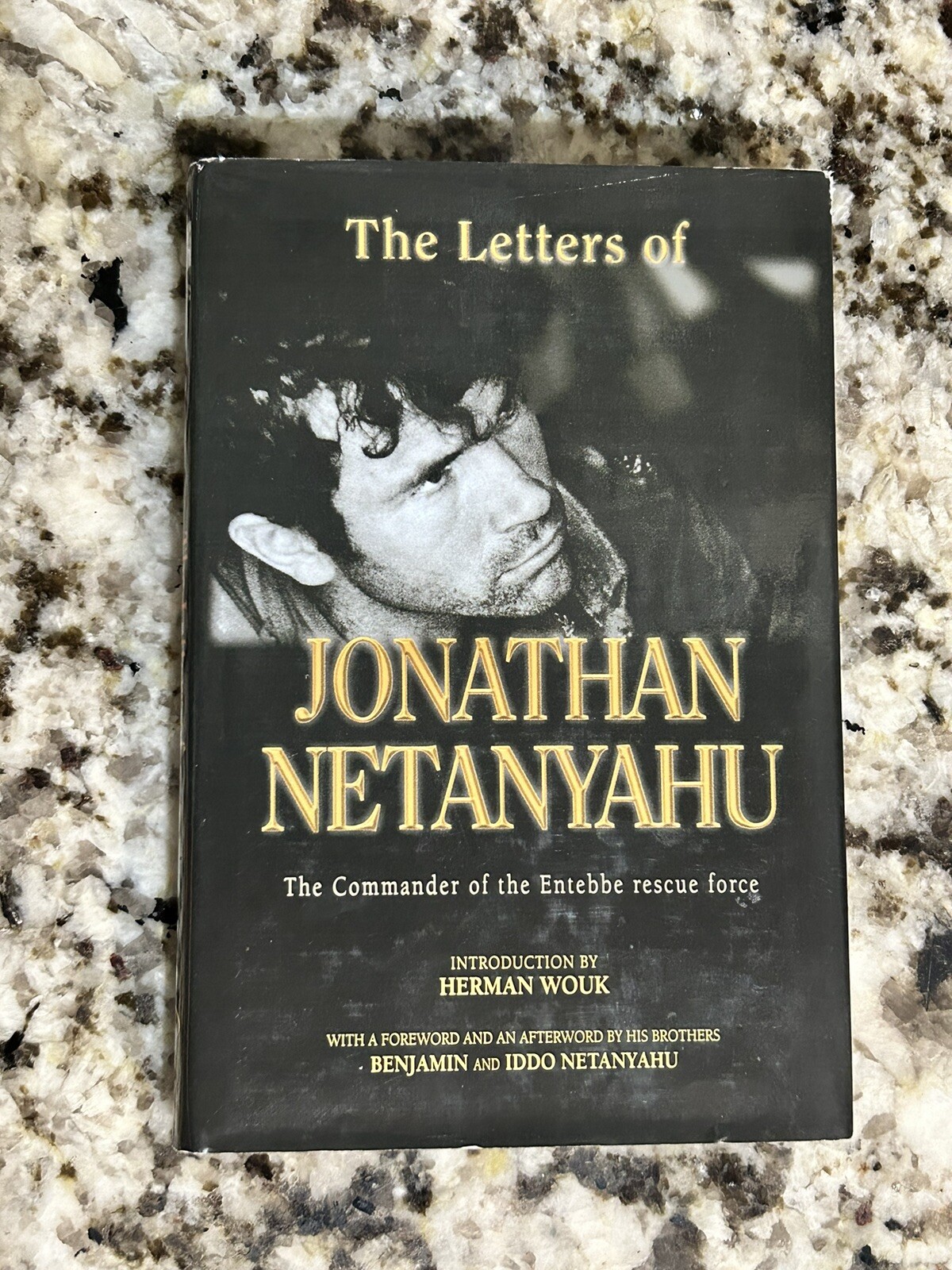 The Letters of Jonathan Netanyahu : The Commander of the Antebbee ...