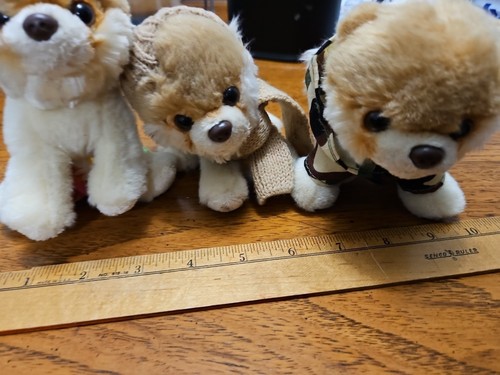Gund Boo World's Cutest Dog Plush Itty Bitty Boo 3 Dogs Lot OUT OF ...